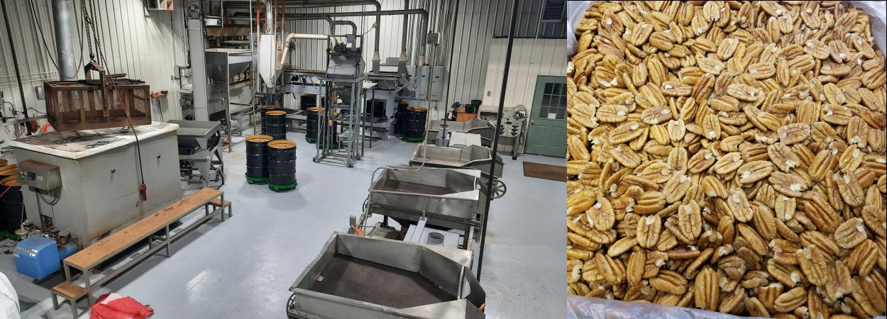Pecan Processing – Valley View Pecan Company